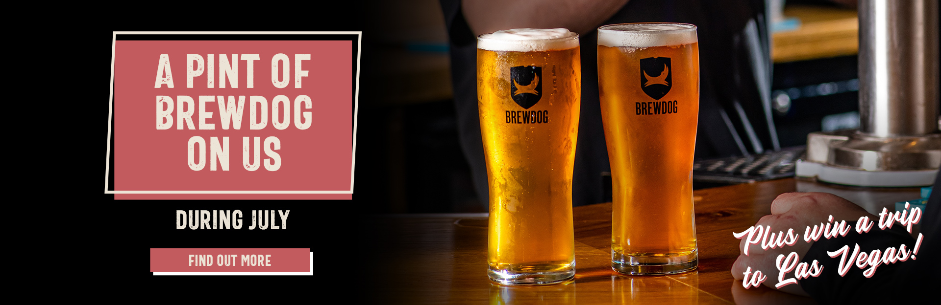 Brewdog Access All Areas